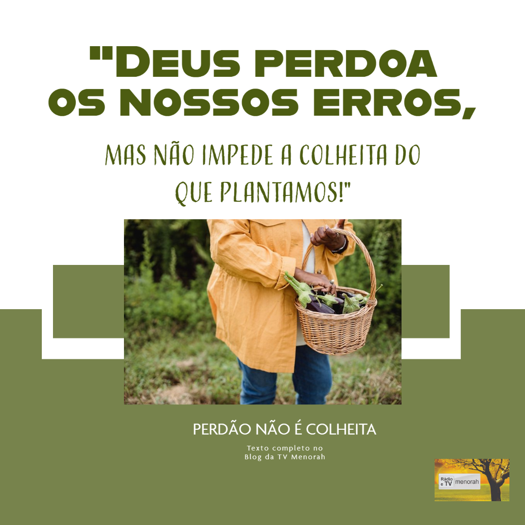 DEUS PERDOA OS NOSSOS ERROS, MAS NÃO IMPEDE A COLHEITA DO QUE PLANTAMOS ...